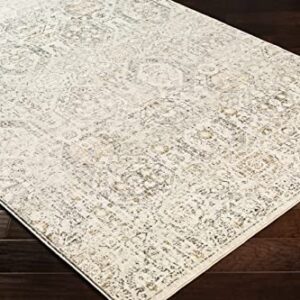 Hauteloom Bluffs Moroccan Farmhouse Living Room Bedroom Dining Room Area Rug - Bohemian Style - Boho Vintage Distressed - Beige, Gray, Brown, Cream 6'7" x 9'