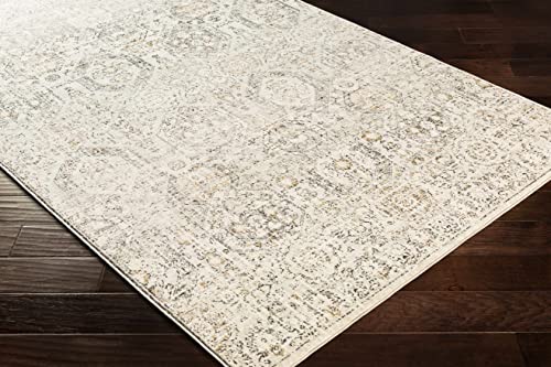 Hauteloom Bluffs Moroccan Farmhouse Living Room Bedroom Dining Room Area Rug - Bohemian Style - Boho Vintage Distressed - Beige, Gray, Brown, Cream 6'7" x 9'