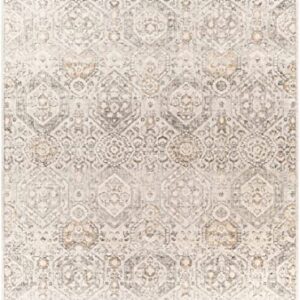 Hauteloom Bluffs Moroccan Farmhouse Living Room Bedroom Dining Room Area Rug - Bohemian Style - Boho Vintage Distressed - Beige, Gray, Brown, Cream 6'7" x 9'