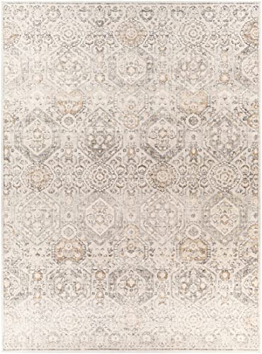 Hauteloom Bluffs Moroccan Farmhouse Living Room Bedroom Dining Room Area Rug - Bohemian Style - Boho Vintage Distressed - Beige, Gray, Brown, Cream 6'7" x 9'