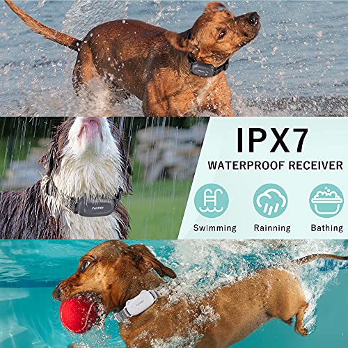 PATPET Dog Shock Collar with Remote - 3 Modes Rechargeable Shock Collar for 2 Dogs, IPX7 Waterproof Dog Training Collar with Remote Security Keypad