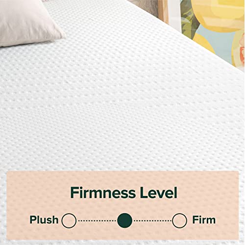 Zinus 12 Inch Green Tea Essential Memory Foam Mattress/Bed-in-a-Box/Affordable Mattress/CertiPUR-US Certified, Full