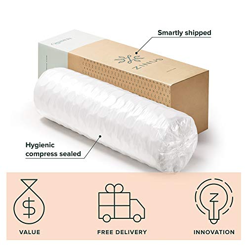 Zinus 10 Inch Tight Top Spring Mattress / Innerspring Mattress / CertiPUR-US Certified / Mattress-in-a-Box, Twin