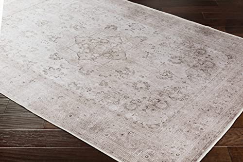 Hauteloom Bethany Traditional Medallion Living Room Bedroom Neutral Area Rug - Machine Washable - Vintage Distressed Faded - Boho Bohemian - Beige, Cream, Cream, Blush - 7'10" x 10'2"