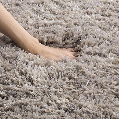 SAFAVIEH Express Shag Collection 3' x 5' Silver SGE620C Handmade Solid 2.5-inch Thick Area Rug