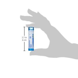 Boiron Chelidonium Majus 30C, 80 Pellets, Homeopathic Medicine for Indigestion and Nausea