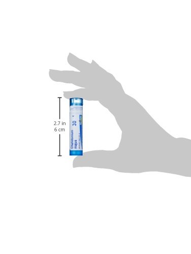 Boiron Chelidonium Majus 30C, 80 Pellets, Homeopathic Medicine for Indigestion and Nausea