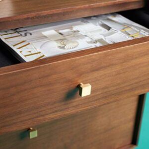 Safavieh Couture Home Collection Adelyn 2-Drawer Nightstand, Walnut/Gold