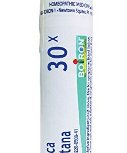 Boiron Arnica Montana 30X for Muscle Pain, Stiffness, Swelling from Injuries & Bruises - 80 Pellets