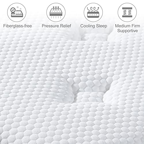 S SECRETLAND Queen Mattress, 10 Inch Cooling-Gel Memory Foam and Individually Pocket Innerspring Hybrid Mattress, Queen Bed Mattress in a Box, CertiPUR-US Certified,60”*80”, Medium Feel