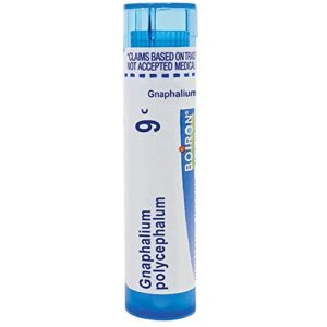 boiron gnaphalium polycephalum 9c, tube of 80 pellets