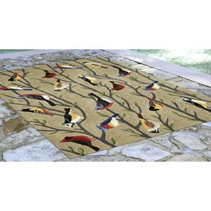 Liora Manne Frontporch Indoor/Outdoor Rug, 3 ft 6 in x 5 ft 6 in, Birds Multi