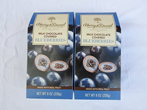 Chocolate Covered Blueberries (8 oz, 2-Pack)