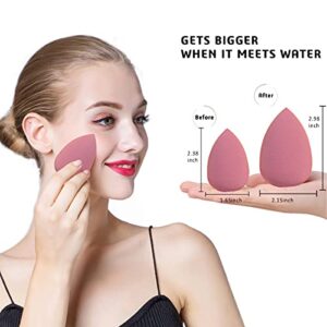 5 Pcs Makeup Sponges Blender Set - 4 Pcs Professional Beauty Sponge Foundation Blending Blender with 1 Sponge Holder and Egg Case, Flawless for Cream, Powder and Liquid (Pink)