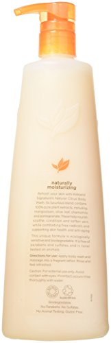 Kirkland Signature Natural Body Wash 27 Fl Oz (Pack of 1)