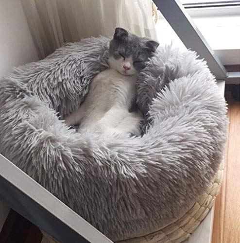 BODISEINT Modern Soft Plush Round Pet Bed for Cats or Small Dogs, Mini Medium Sized Dog Cat Bed Self Warming Autumn Winter Indoor Snooze Sleeping Cozy Kitty Teddy Kennel (24'' D x 8'' H, Light Grey)