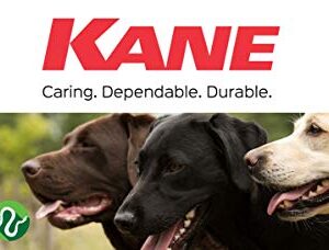 KANE Electric Pet Heat Mat - Heated Pad/Warmer Bed PPHM18R for Pet & Reptile with Dial-A-Temp Rheostat HMR-300 Temperature Control; Safe for Dog, Cat, Puppy, Kitten, Tortoise, Snake (18" x 18")