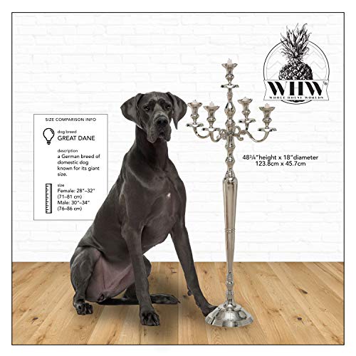 WHW Whole House Worlds Hamptons Tall Five Candle Silver Candelabra, Hand Crafted of Silver Aluminum Nickel, 4 FT High (48.75 Inches)