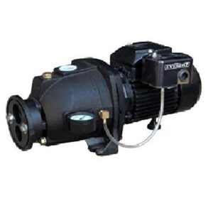 everbilt dp550c 1 hp convertible jet pump