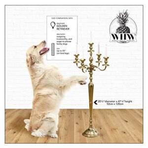 WHW Whole House Worlds Hamptons Tall Five Candle Golden Candelabra, Hand Crafted of Brilliant Gold Aluminum Nickel, 4 FT High (47.25 Inches)