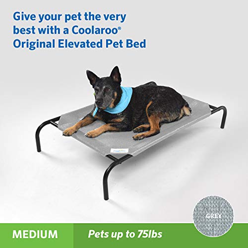 Coolaroo The Original Cooling Elevated Pet Bed, Grey, Medium