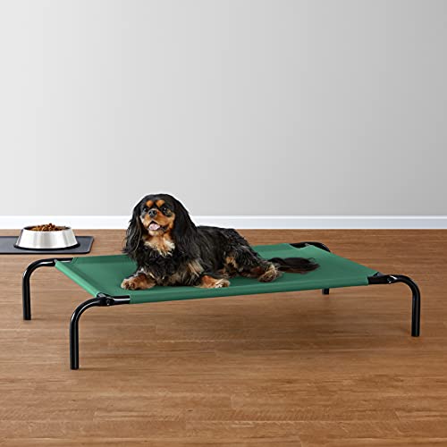 Amazon Basics Cooling Elevated Pet Bed, Small (36 x 22 x 7.5 Inches), Green