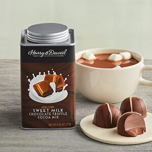 Harry & David Truffle Cocoa Mix, Sweet Milk Chocolate, 6.25 Ounce