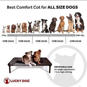 Lucky Dog 42'' Elevated Pet Bed Cot | Indoor & Outdoor Use | Gray