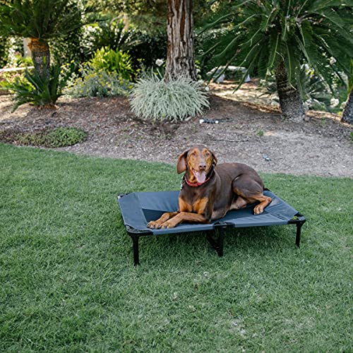 Lucky Dog 42'' Elevated Pet Bed Cot | Indoor & Outdoor Use | Gray