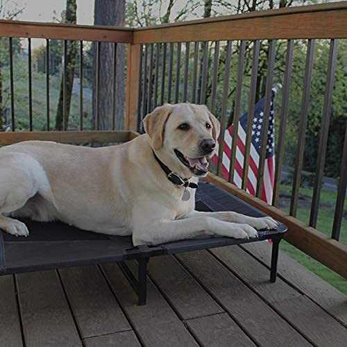 Lucky Dog 42'' Elevated Pet Bed Cot | Indoor & Outdoor Use | Gray