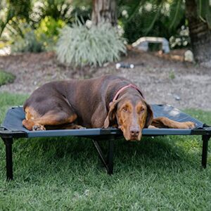 Lucky Dog 42'' Elevated Pet Bed Cot | Indoor & Outdoor Use | Gray