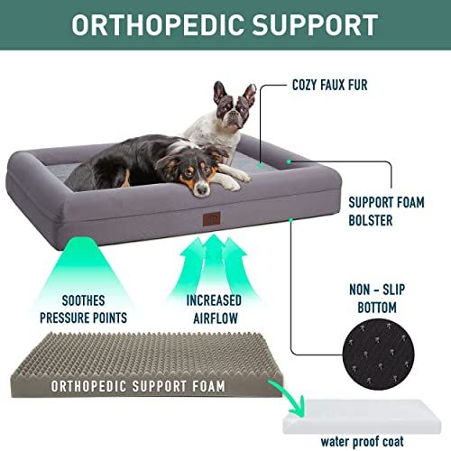 Eterish Orthopedic Dog Bed for Large Dogs (3 inches Thick) Plush 4 Sides Pet Bed L Grey Large (Pack of 1)