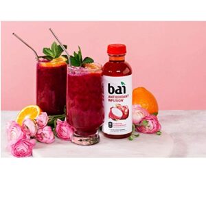 Bai Flavored Water, Rainforest Variety Pack, Antioxidant Infused Drinks, 18 Fluid Ounce Bottles, 12 Count, 3 Each of Brasilia Blueberry, Costa Rica Clementine, Malawi Mango, Sumatra Dragonfruit