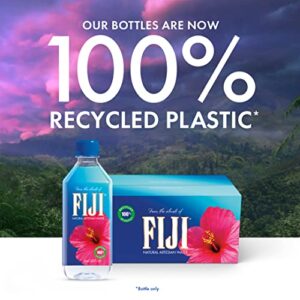 FIJI Natural Artesian Water, 16.9 Fl Oz (Pack of 24)