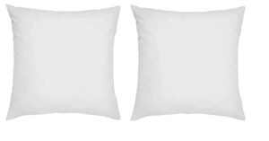 ikea 20″ x 20″ fjadrar duck feather filled inner cushion – set of 2