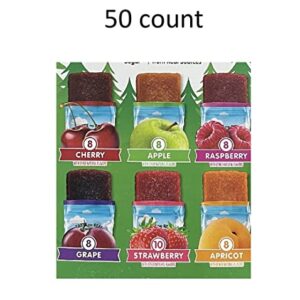 Stretch Island Fruit Leather Snacks Variety Pack, Cherry, Apple, Strawberry, Apricot, Grape, Raspberry, 0.5 Ounce No Added Sugar (Pack of 50) 24.7 Ounce