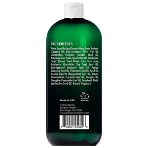 Botanic Hearth Tea Tree Body Wash, Helps with Nails, Athletes Foot, Ringworms, Jock Itch, Acne, Eczema & Body Odor, Soothes Itching & Promotes Healthy Skin and Feet, Naturally Scented, 16 fl oz