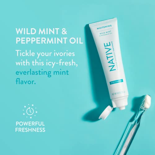 Native Toothpaste Made from Naturally-Derived Cleaners and Simple Ingredients That Safely Whitens Teeth, 4.1 oz, Wild Mint with Fluoride - 1 Count