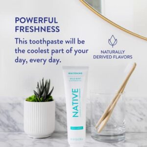 Native Toothpaste Made from Naturally-Derived Cleaners and Simple Ingredients That Safely Whitens Teeth, 4.1 oz, Wild Mint with Fluoride - 1 Count