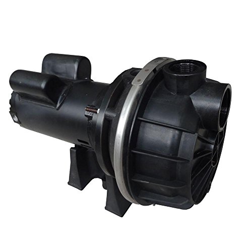 Everbilt 1-1/2 Hp Thermoplastic Sprinkler Pump