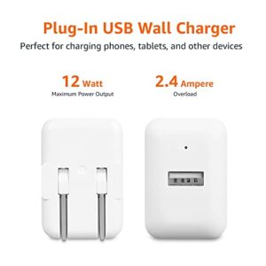 AmazonBasics 12W One-Port USB-A Wall Charger (2.4 Amp) for Phones (iPhone 13/12/11/X, Samsung, and more) - White (2-Pack)