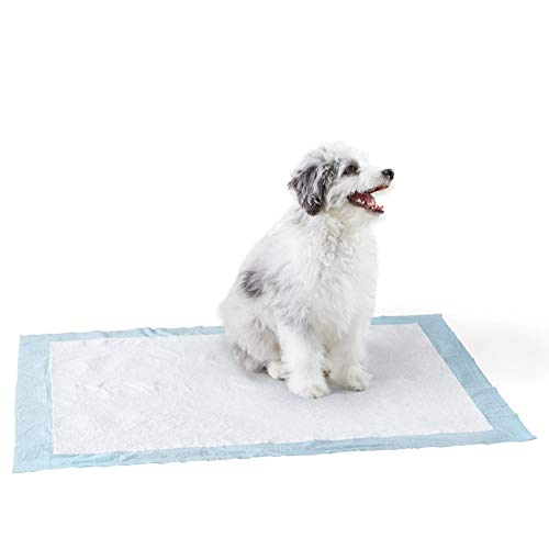 Amazon Basics Dog and Puppy Pee Pads with Leak-Proof Quick-Dry Design for Potty Training, Heavy Duty Absorbency, X-Large, 28 x 34 Inches - Pack of 50