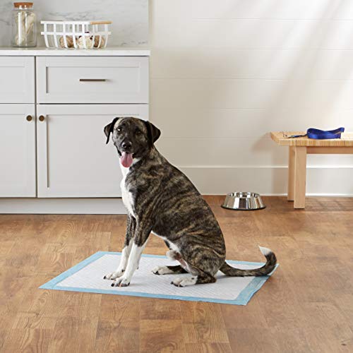 Amazon Basics Dog and Puppy Pee Pads with Leak-Proof Quick-Dry Design for Potty Training, Heavy Duty Absorbency, X-Large, 28 x 34 Inches - Pack of 50