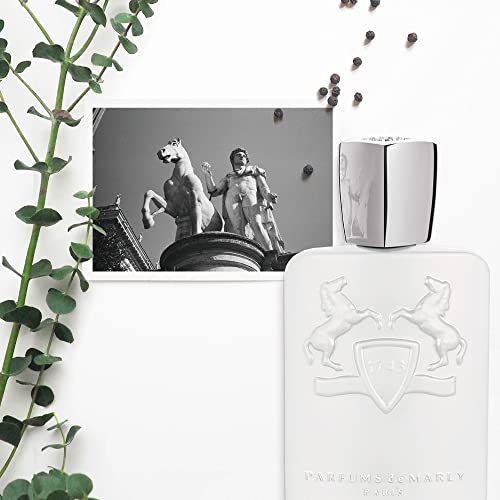 PARFUMS de MARLY - Galloway - 4.2 Fl Oz - Eau De Parfum For Men - Top Notes Citrus, Pepper - Heart Notes Iris, Orange Blossom - Base Notes Musk, Amber, Sandalwood - 125ml