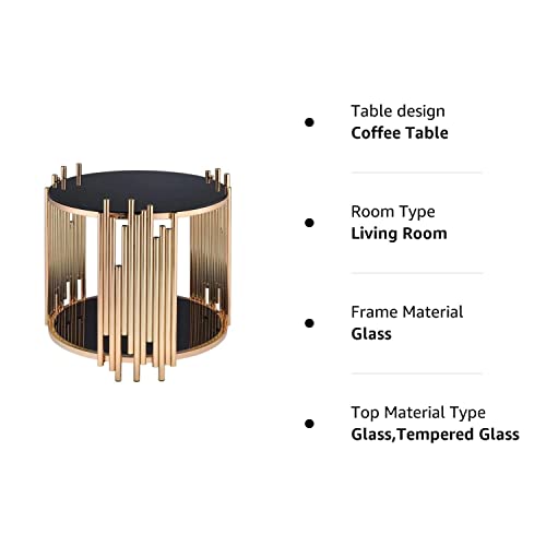 ACME Tanquin Coffee Table - - Gold & Black Glass