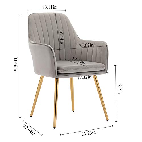 Artechworks Velvet Modern Living Dining Room Arm Chair Club Leisure Guest Lounge Bedroom Upholstered Chair with Gold Metal Legs, Gray