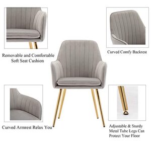 Artechworks Velvet Modern Living Dining Room Arm Chair Club Leisure Guest Lounge Bedroom Upholstered Chair with Gold Metal Legs, Gray