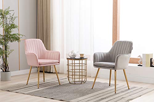 Artechworks Velvet Modern Living Dining Room Arm Chair Club Leisure Guest Lounge Bedroom Upholstered Chair with Gold Metal Legs, Gray