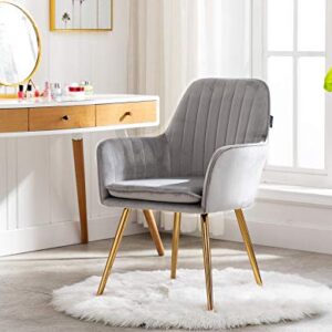 Artechworks Velvet Modern Living Dining Room Arm Chair Club Leisure Guest Lounge Bedroom Upholstered Chair with Gold Metal Legs, Gray