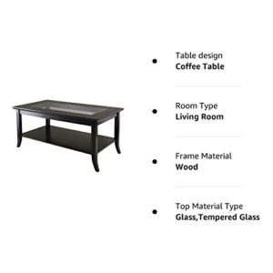 Winsome Genoa Rectangular Coffee Table with Glass Top And Shelf